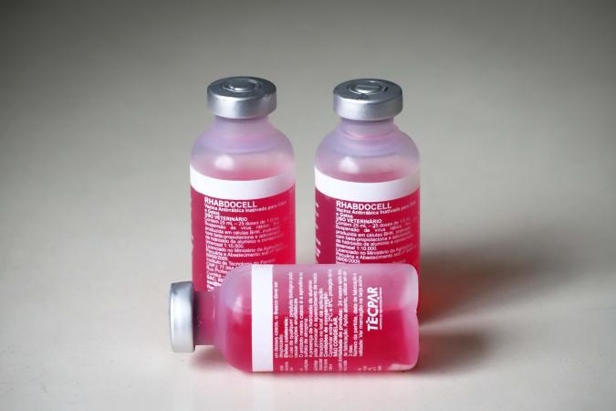 Produção da vacina antirrábica é apresentada em evento nacional de ...